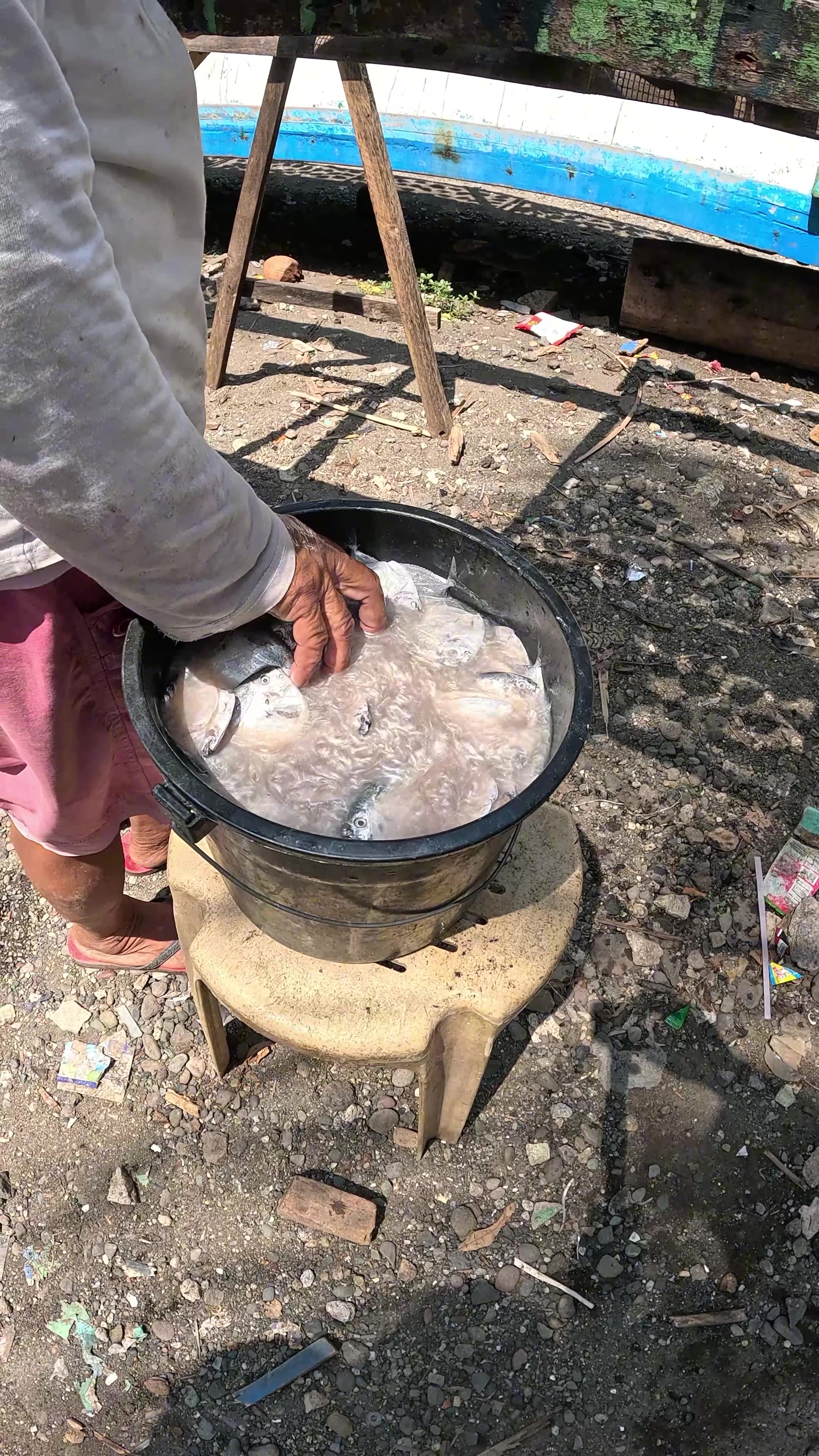 Sun-Dried Delights Exploring the Tradition of Bulad Production! Who ...