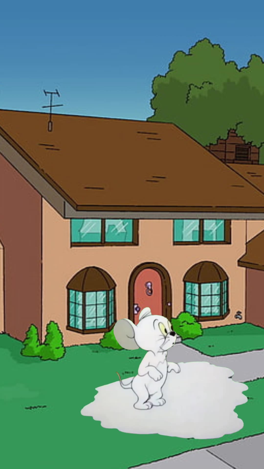 Tom and Jerry cartoon episode New