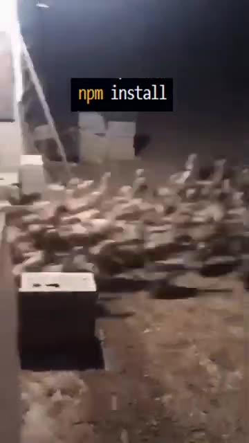 npm install #shorts #meme