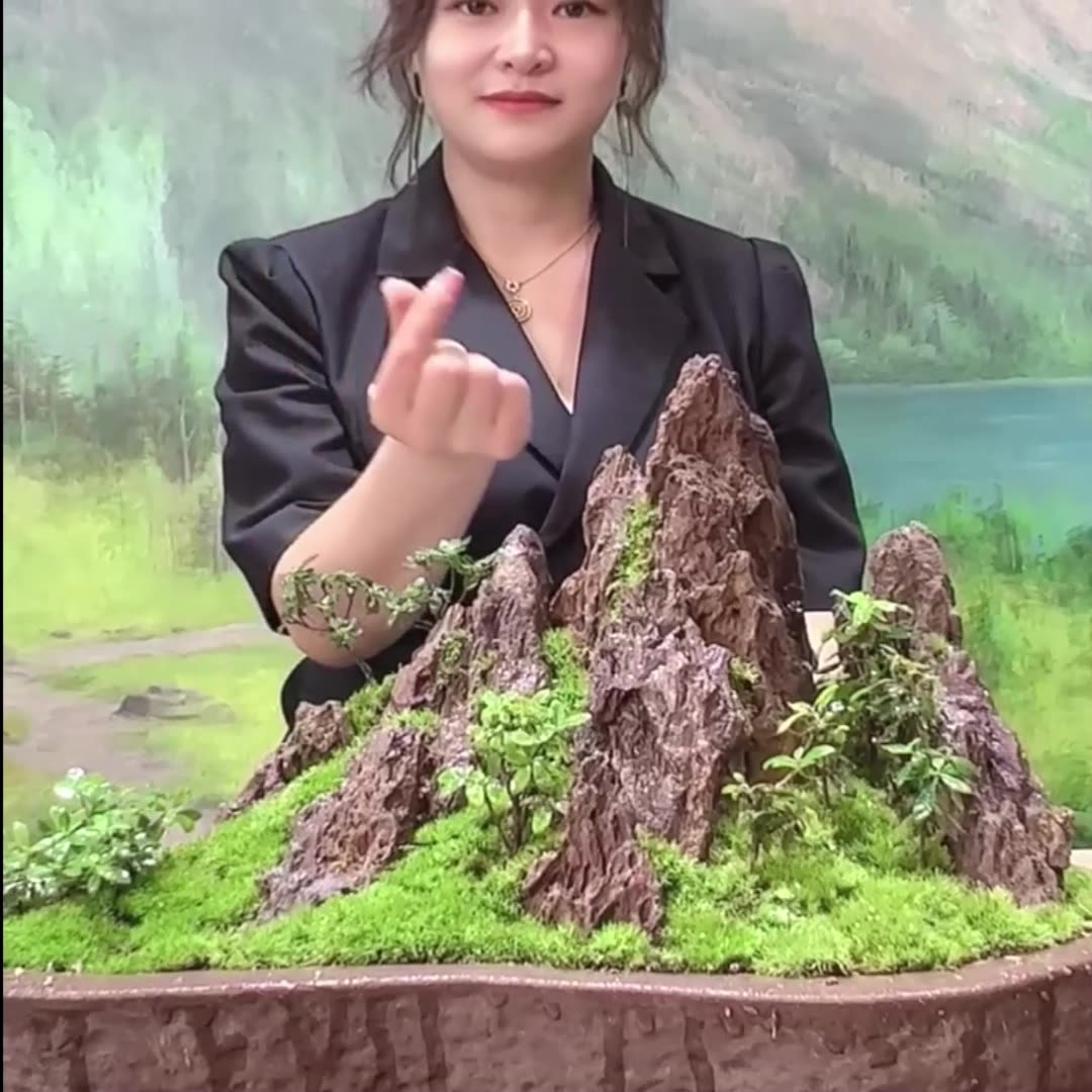 Beautiful Moss Micro Landscape Idea , Diy Micro Landscape Design