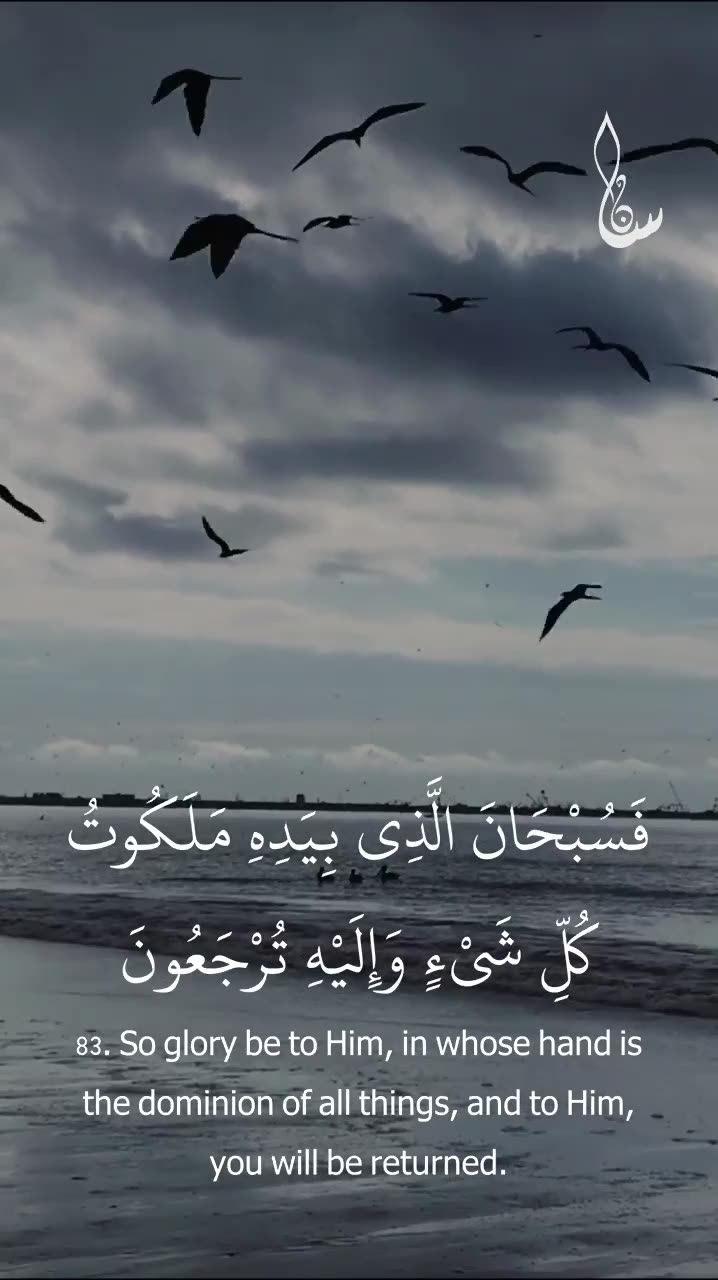 Surah-yaseen tilawat with english translation