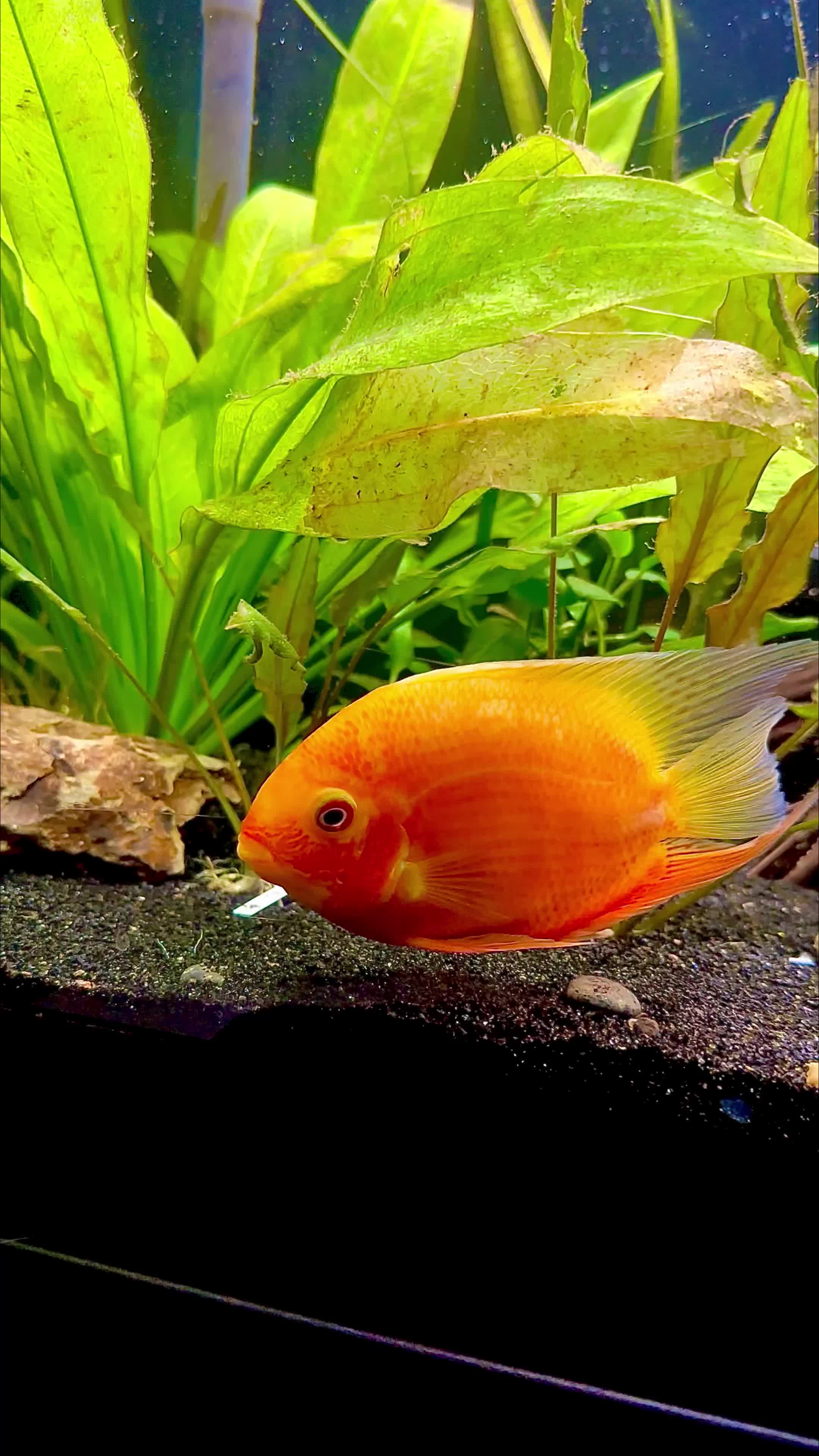 Dory doing her dance 😂