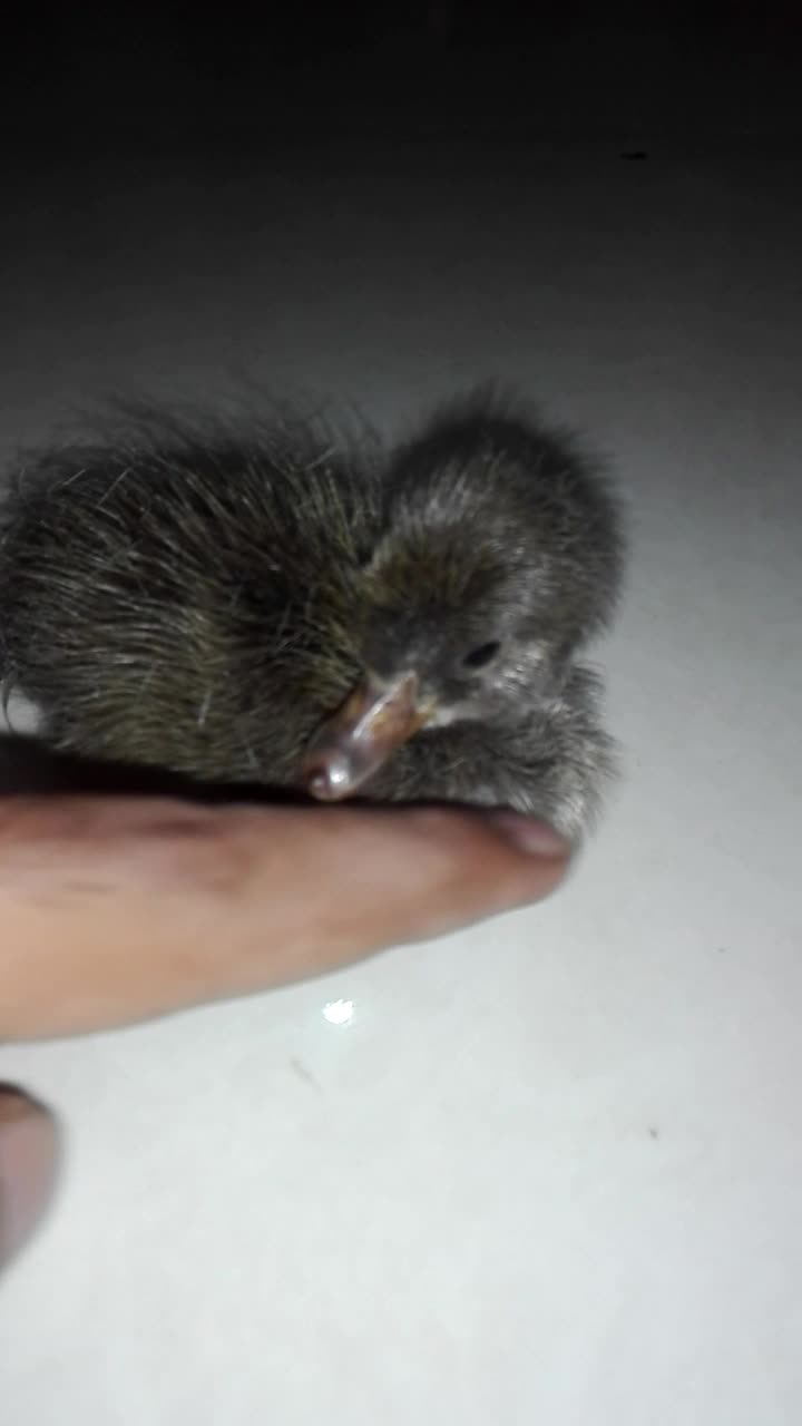 Dory is kissing fingure!