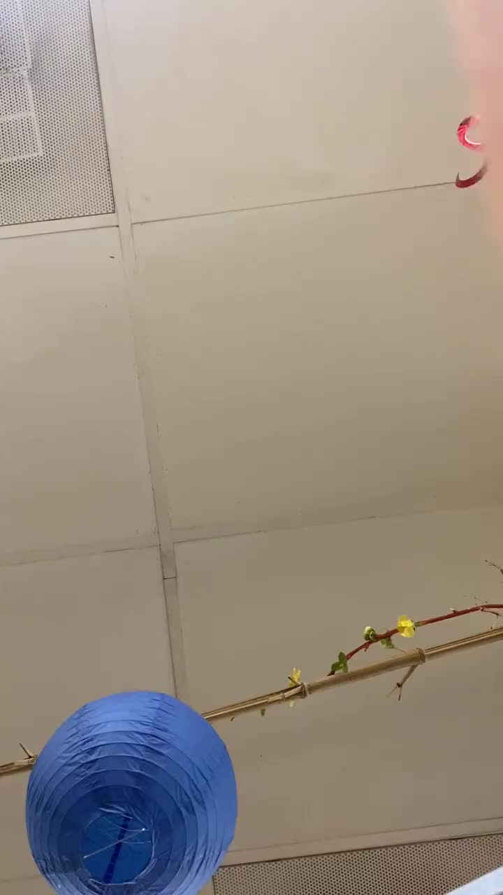 Morgan Zegers gets harassed by a liberal for wearing TPUSA hat