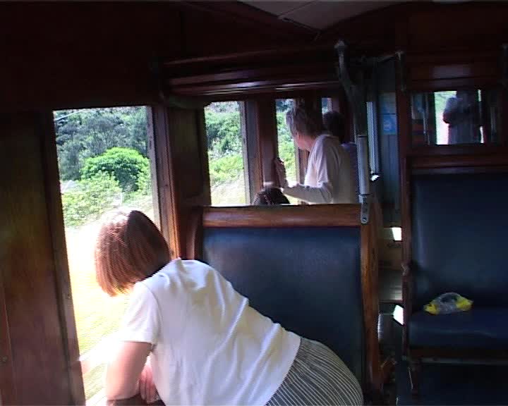 The Banana Express Steam Train