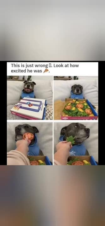 Memes that will make you laugh | Funny Memes 😂😂
