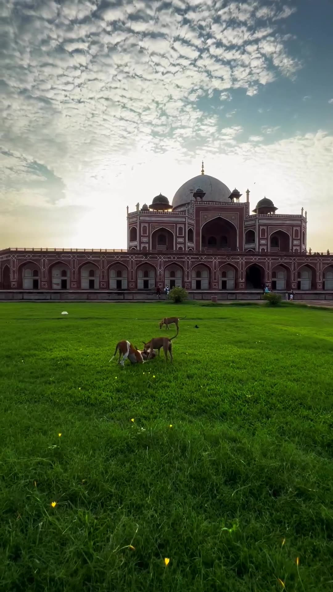 Bahaara Bahaara Beatifull Taj mahal india