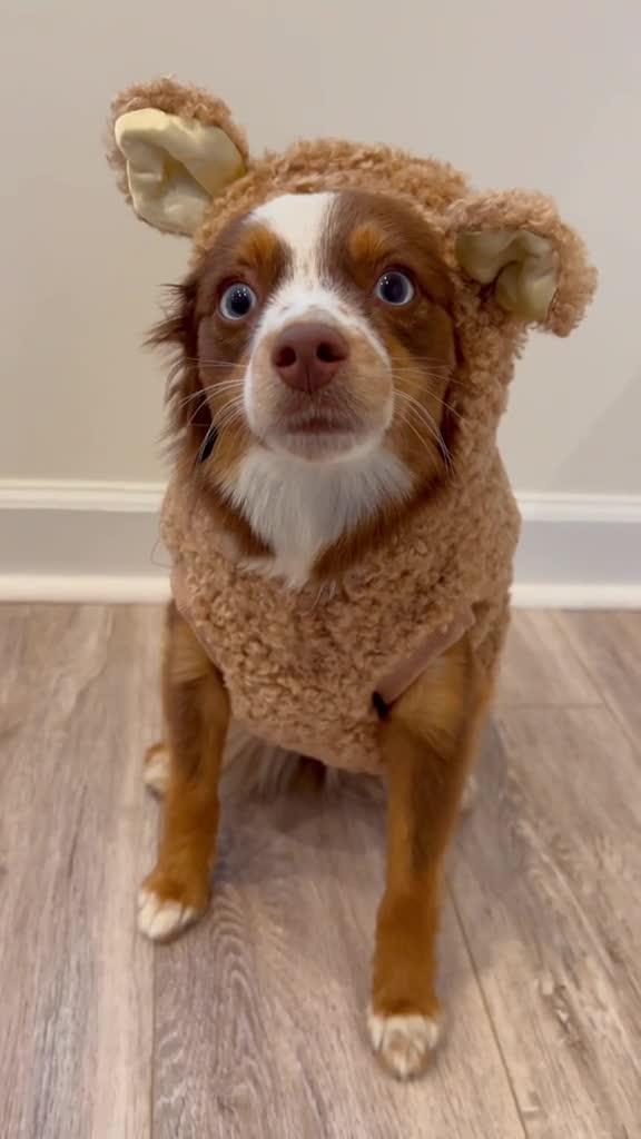 I’m not your teddy bear