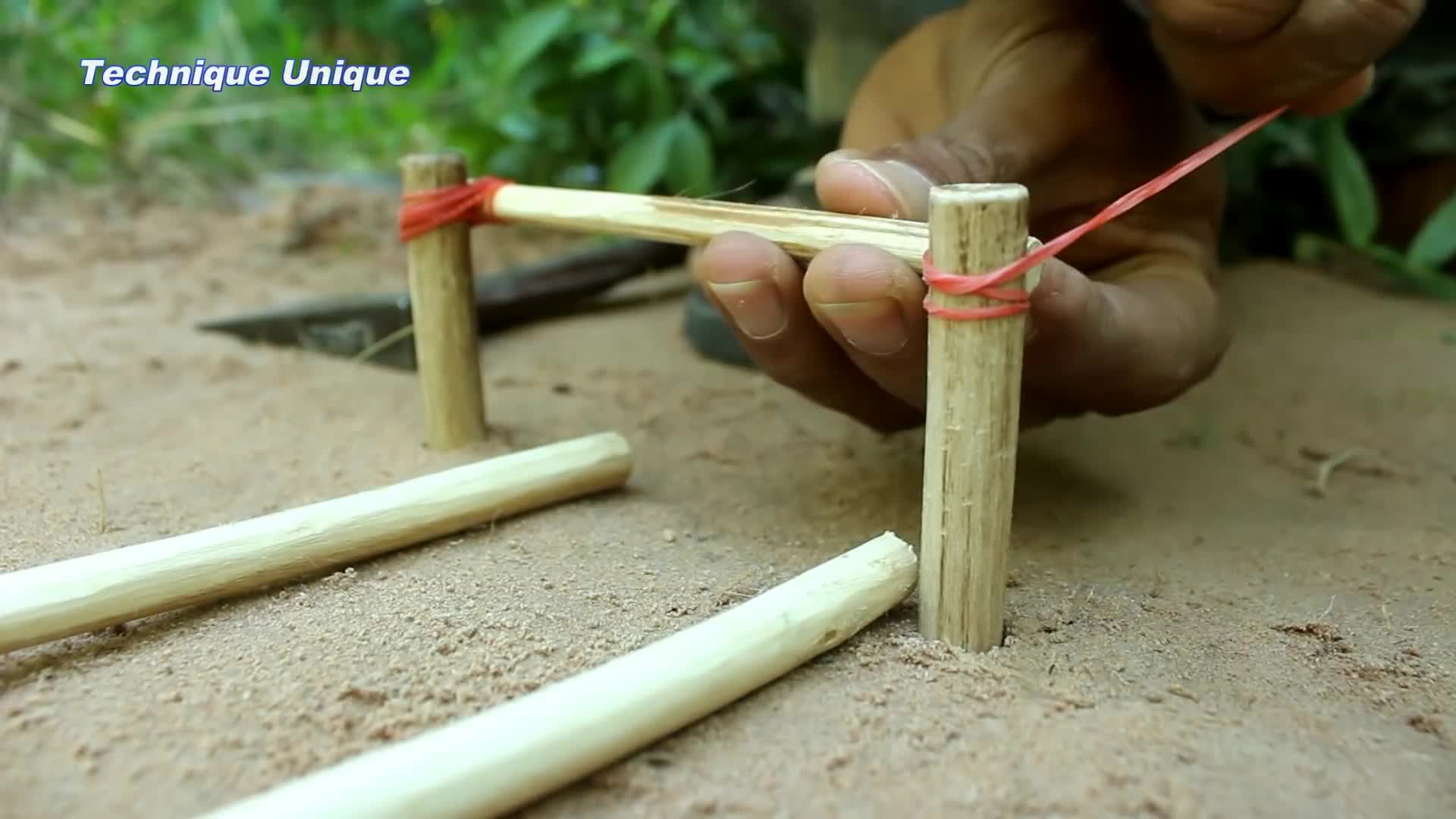 Creative Unique Bird Trap Using Small Plastic Ball Rolling Parrot Trap ...