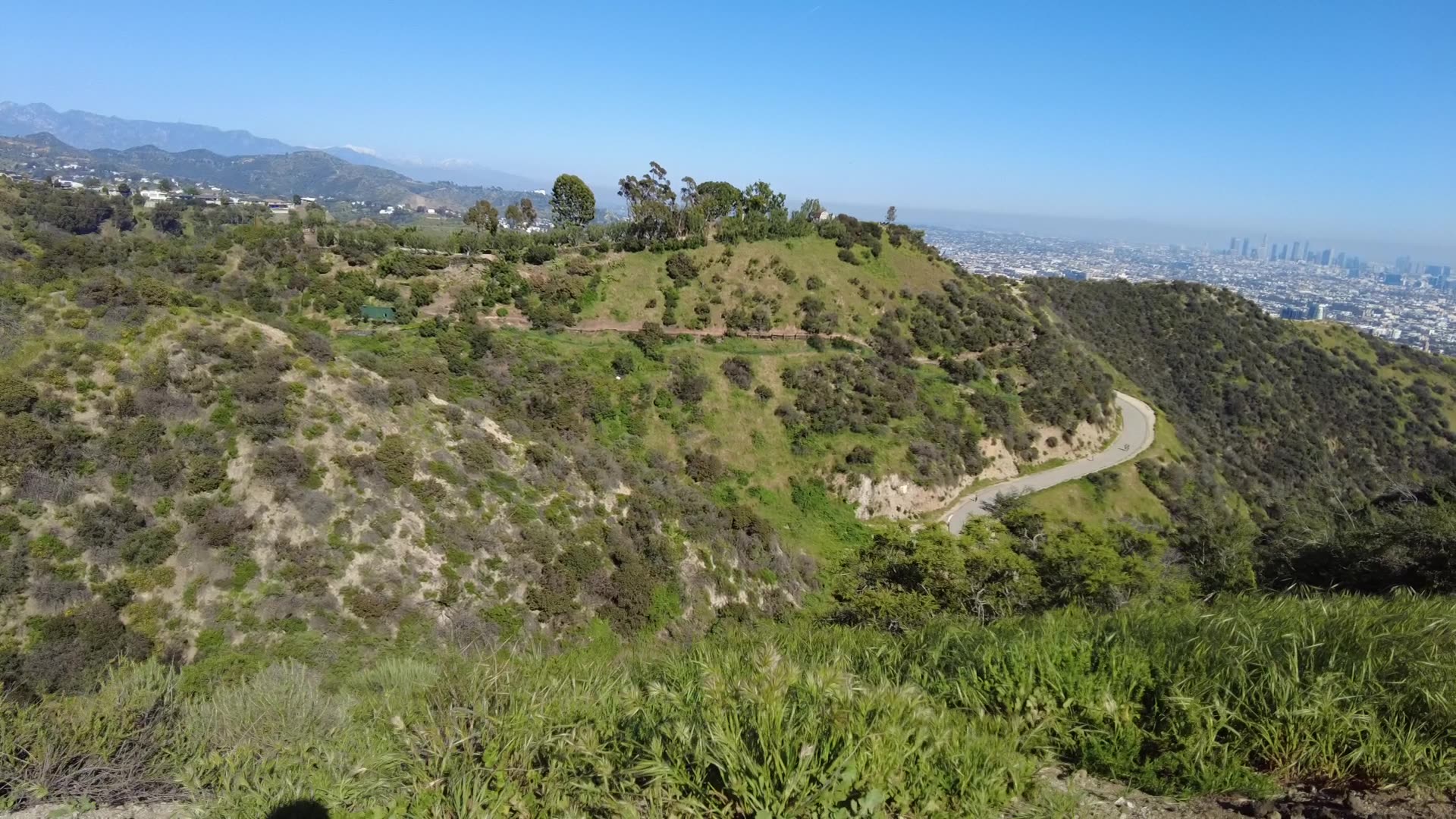 MJ: The Far-Right Bounty Hunter Behind the Explosive Popularity of ...