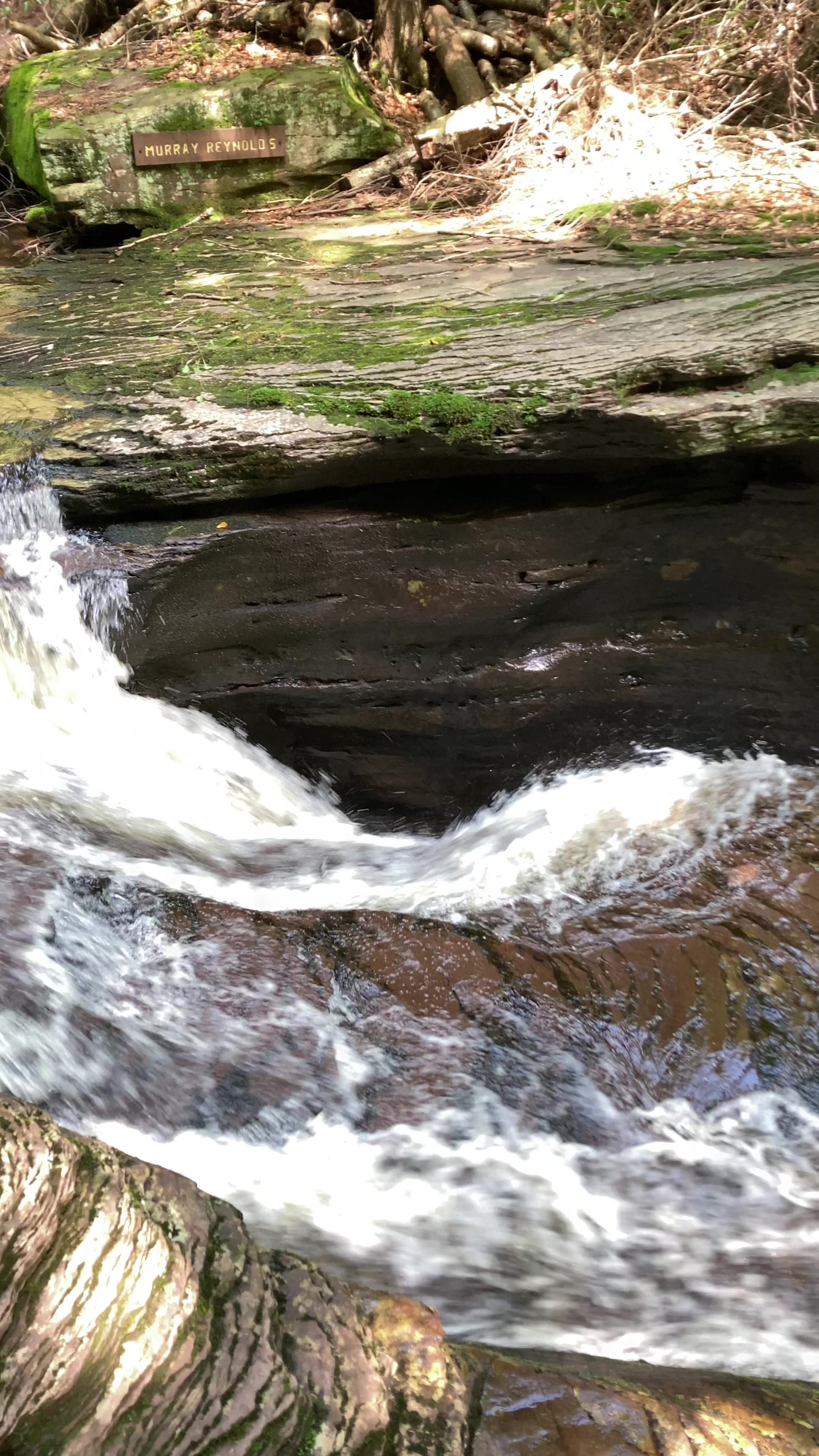 Murray Reynolds Falls from Above