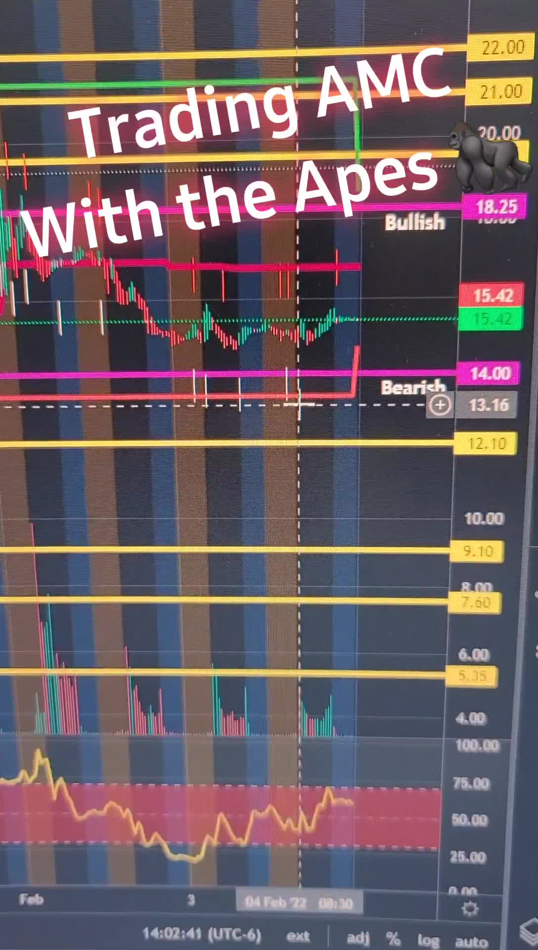 Price Levels to Watch for with Stock Ticker AMC