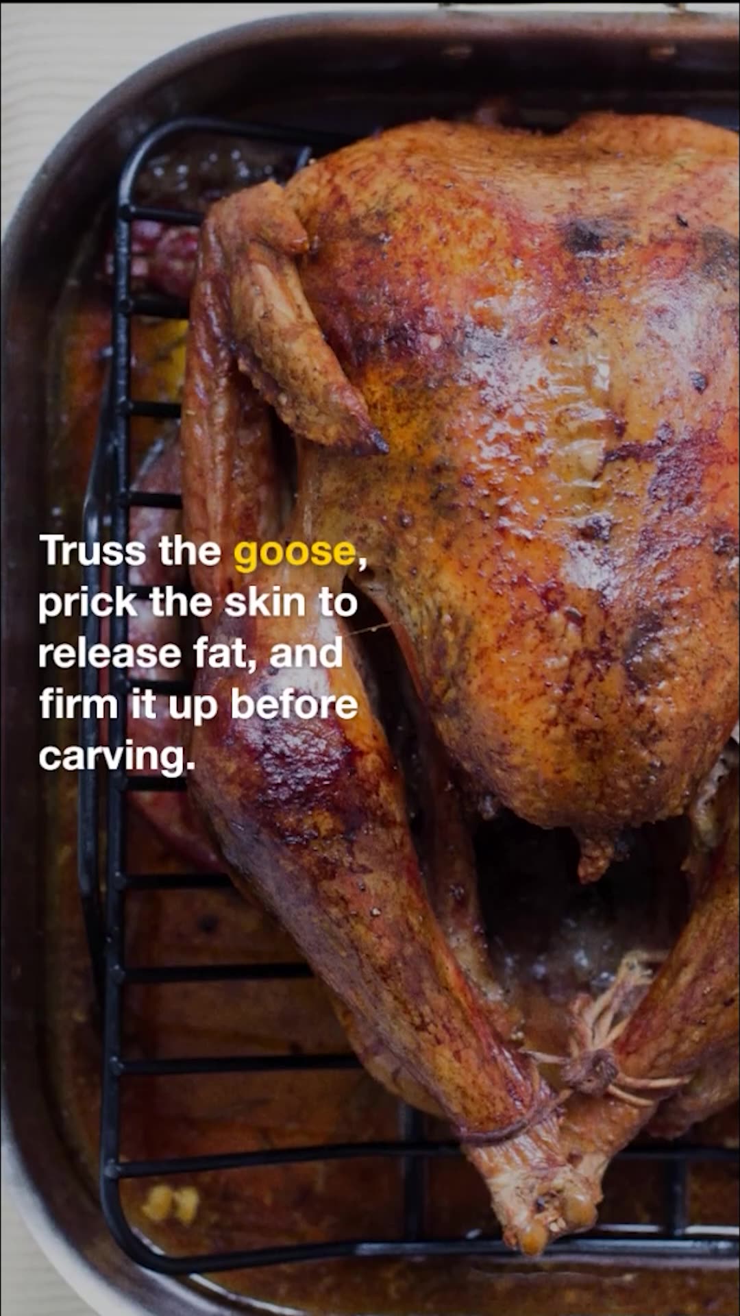 How to Cook a Goose