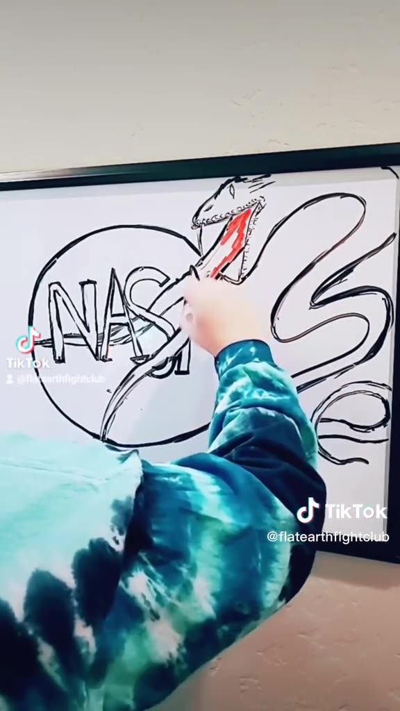 NASA Snake Tongue Logo