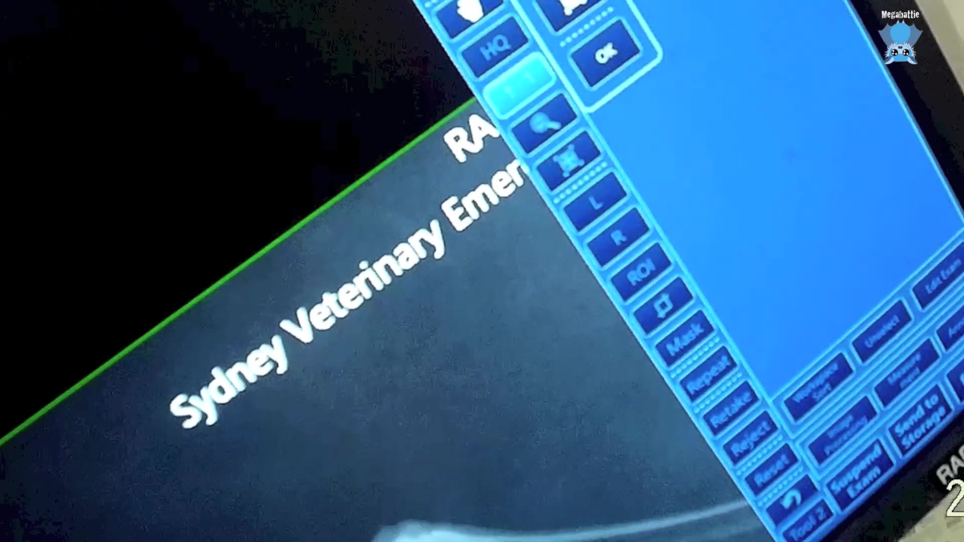 Taking bats to the vet Asher goes to see Adrian for xrays