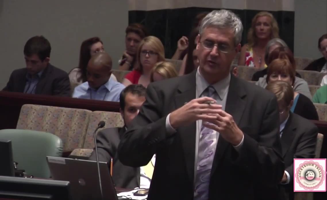 Casey Anthony "Tot Mom" Trial Part 46- The Tragic Story of Caylee Anthony