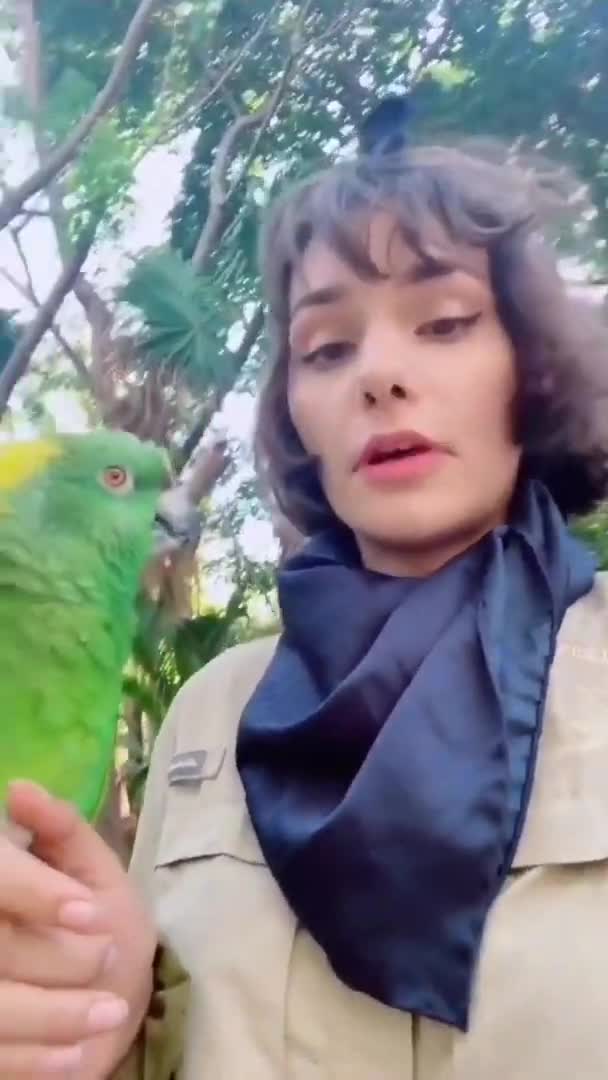 Funny Parrot Talking Viral TikTok