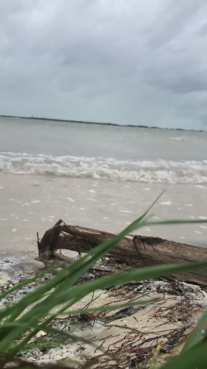 HURR!CANE HELENE F00TAGE 9/26/2024