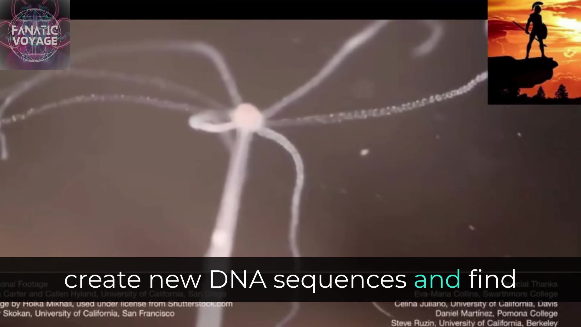 HUMAN MODIFICATION USING IN-HOST HYDRA TO BIOENGINEER SYMBIOTIC SYSTEMS ...