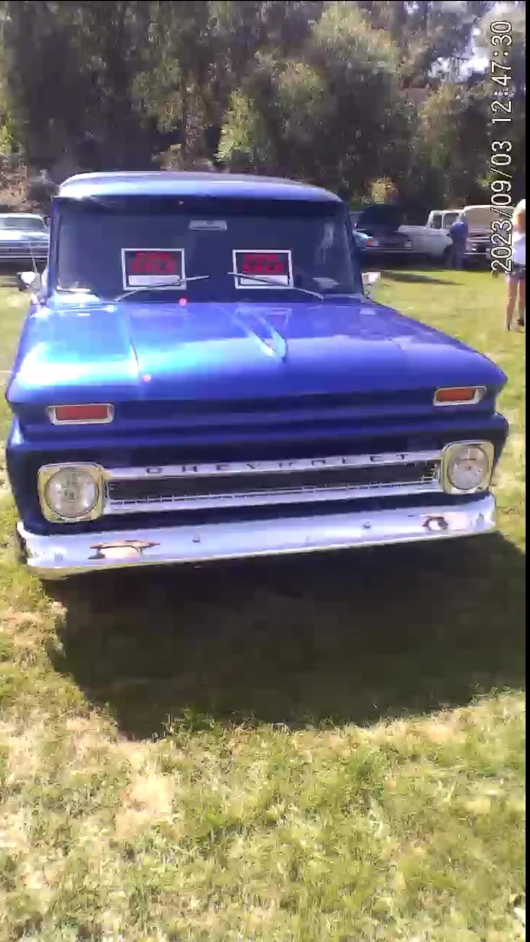 1964 Chevrolet C-10 Panel Truck