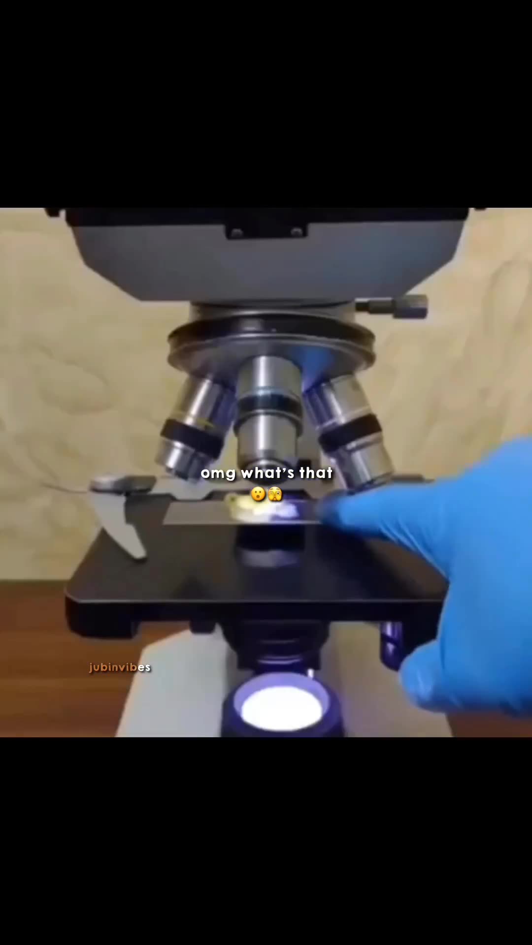 What is inside the microscope view, shocking 😨