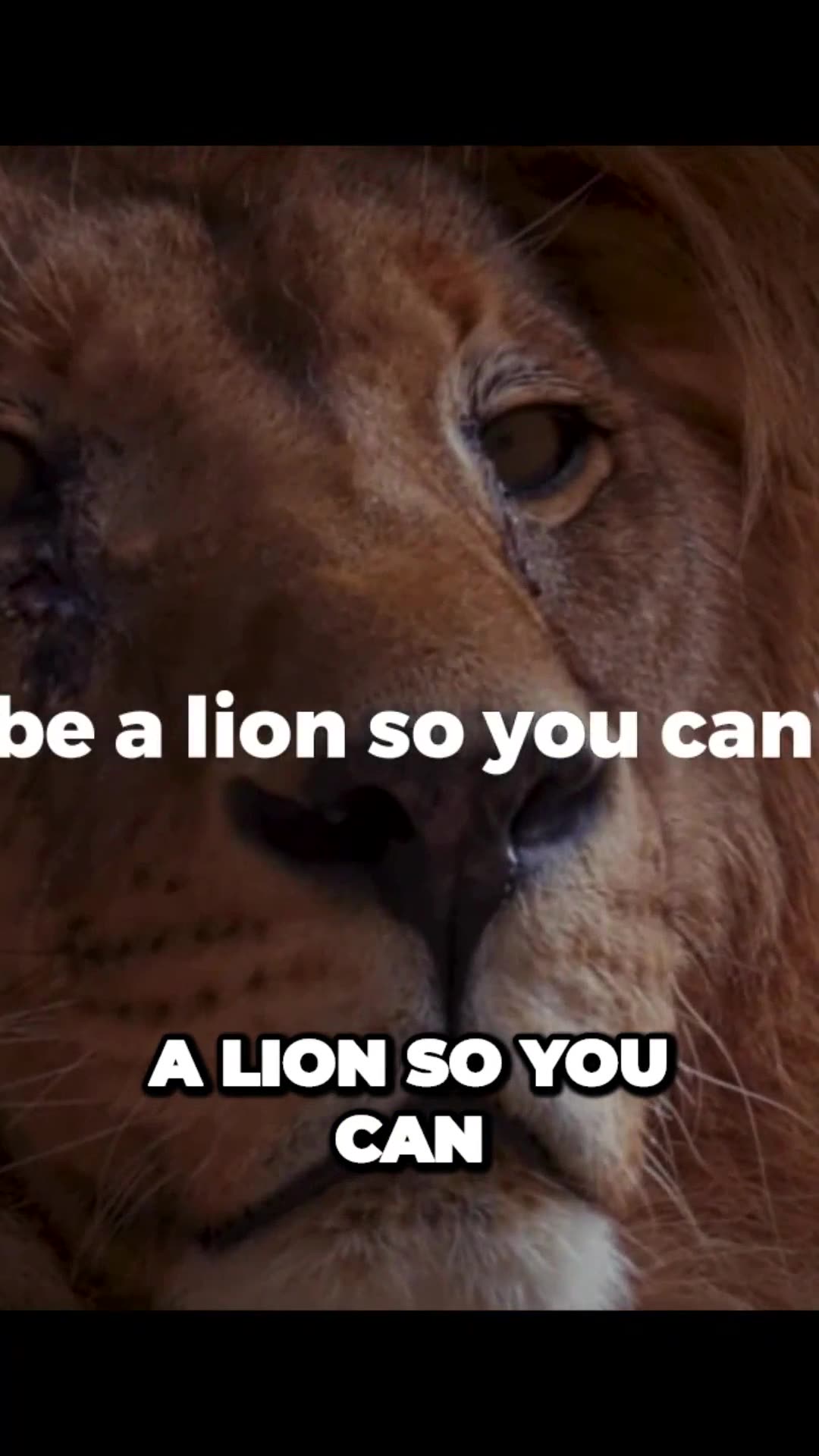 Roar with Courage, Embrace Your Inner Lion, yet Carry the Gentle Heart ...