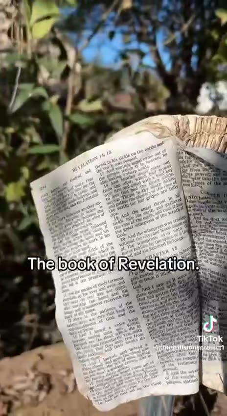 Bible From Hurricane Helene In NC Stuck To Pole On Revelation 14 & 15
