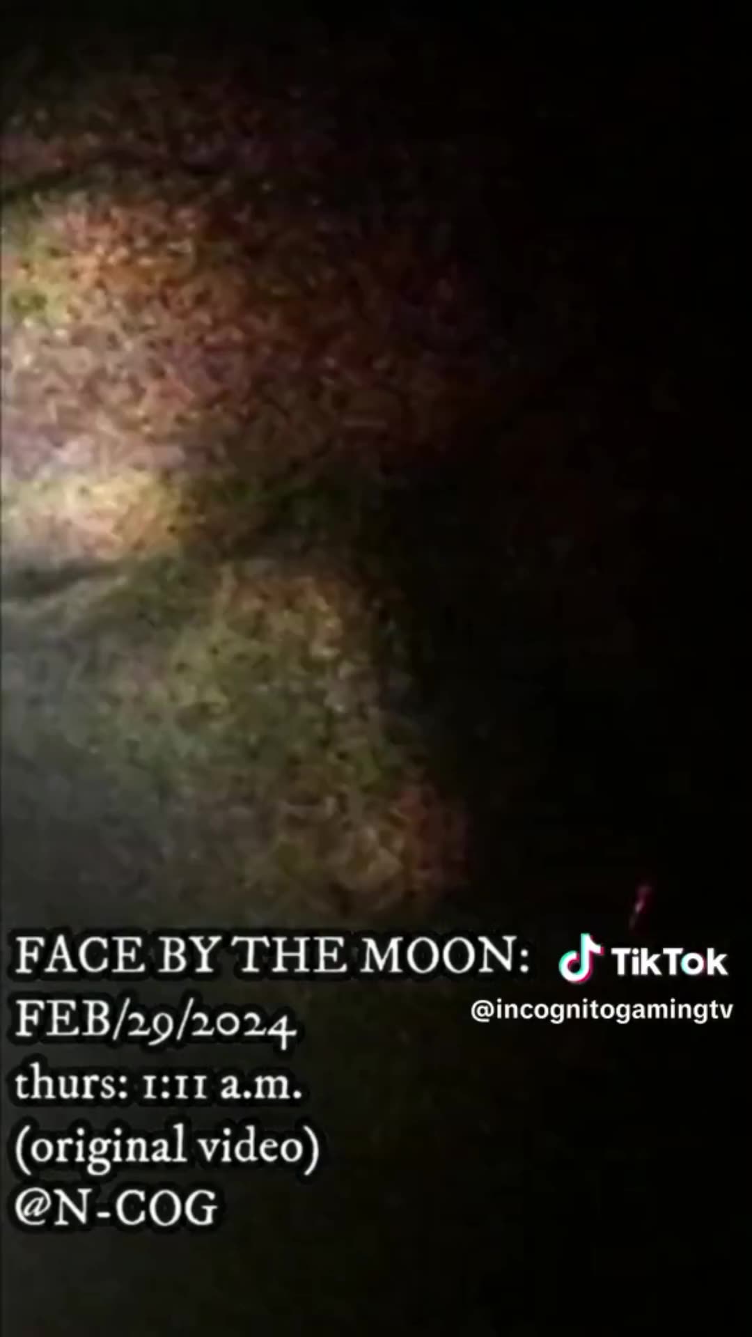 No One Is Talking About The Face By The Moon