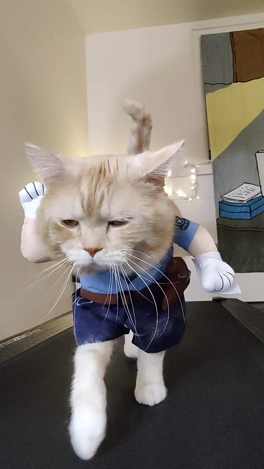 Cat Cop on Pawtrol
