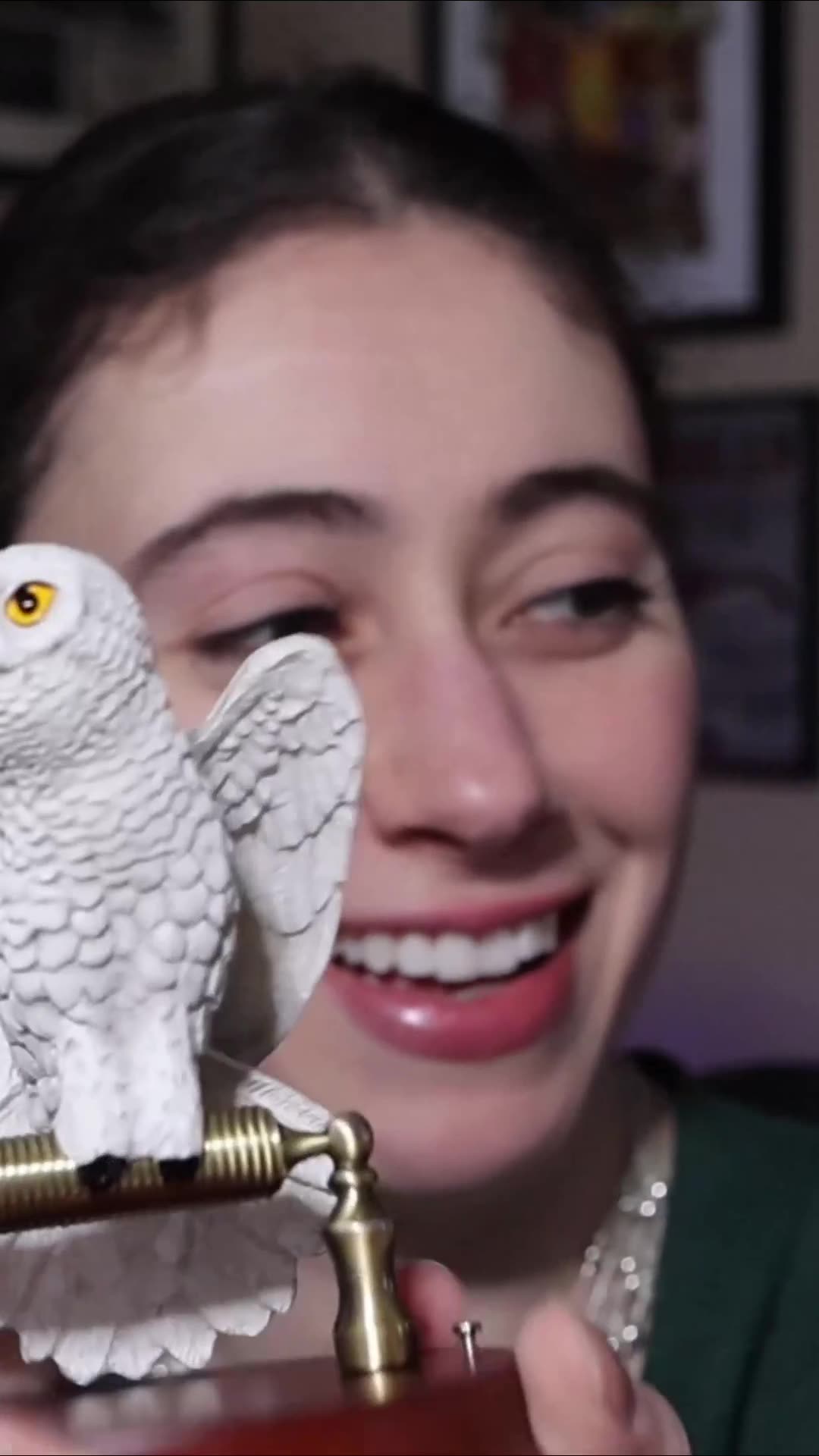 Adorable Little Hedwig : A Cute and Derpy Owl! #wizardingworld # ...