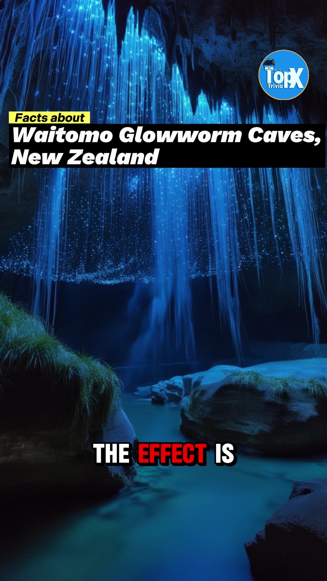 Waitomo Glowworm Caves, New Zealand