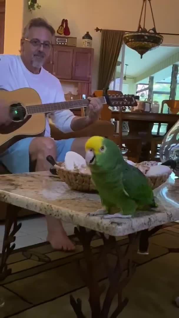 Run - Frank Maglio Tico & the Man