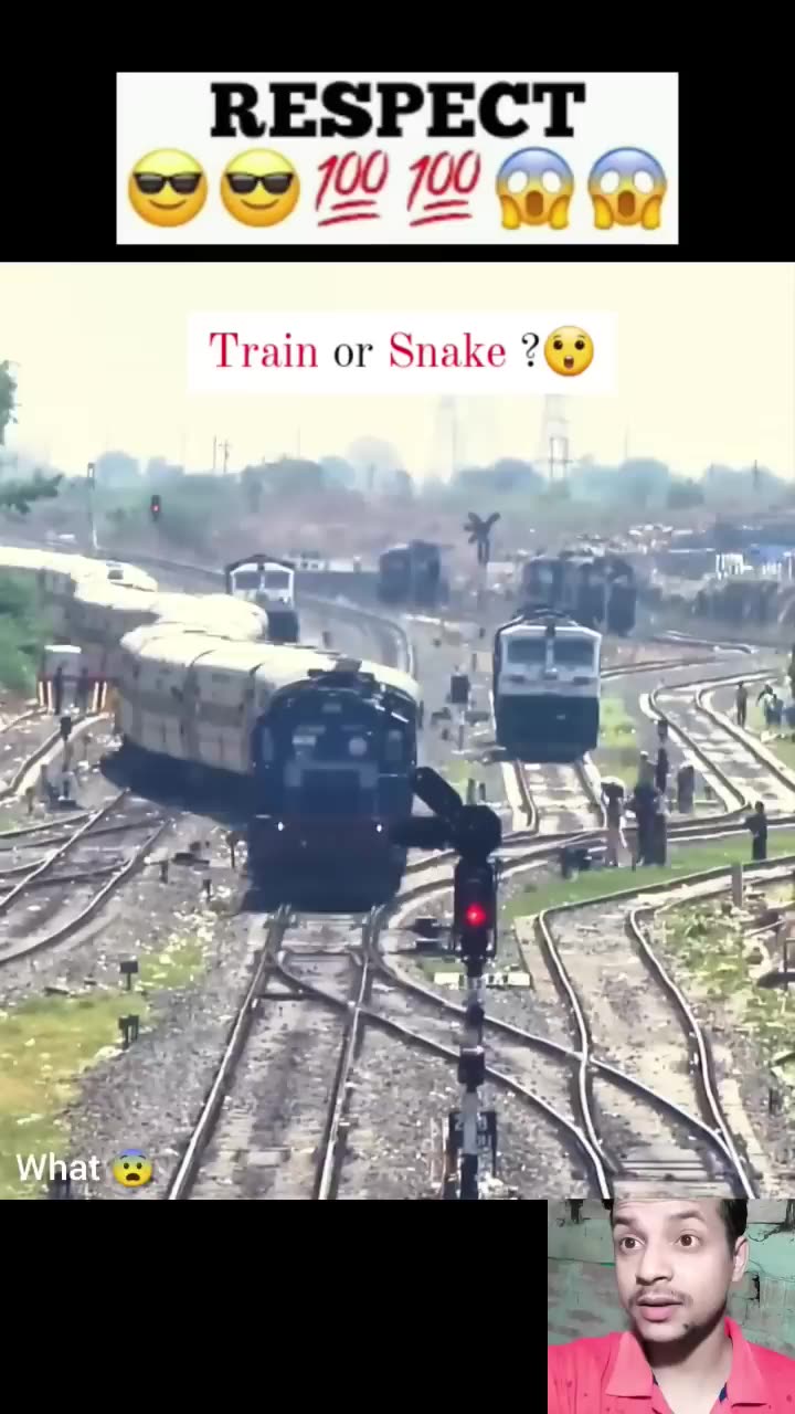 The Train Look Like a Snake 🐍🔥🐍