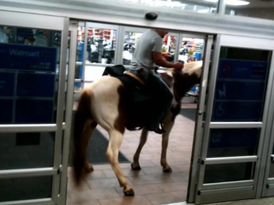 Walmartians - People of Walmart - Version 13