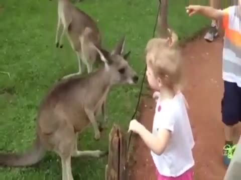 FUNNY kids get scared by cute animals