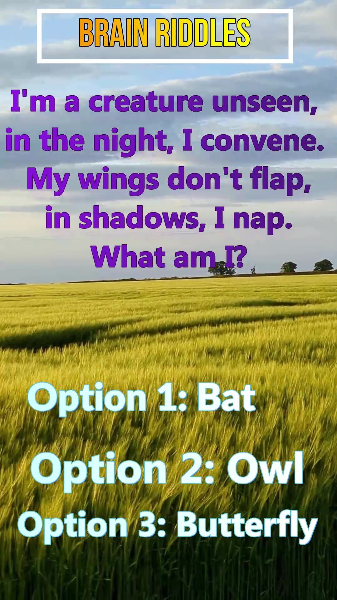 Riddles