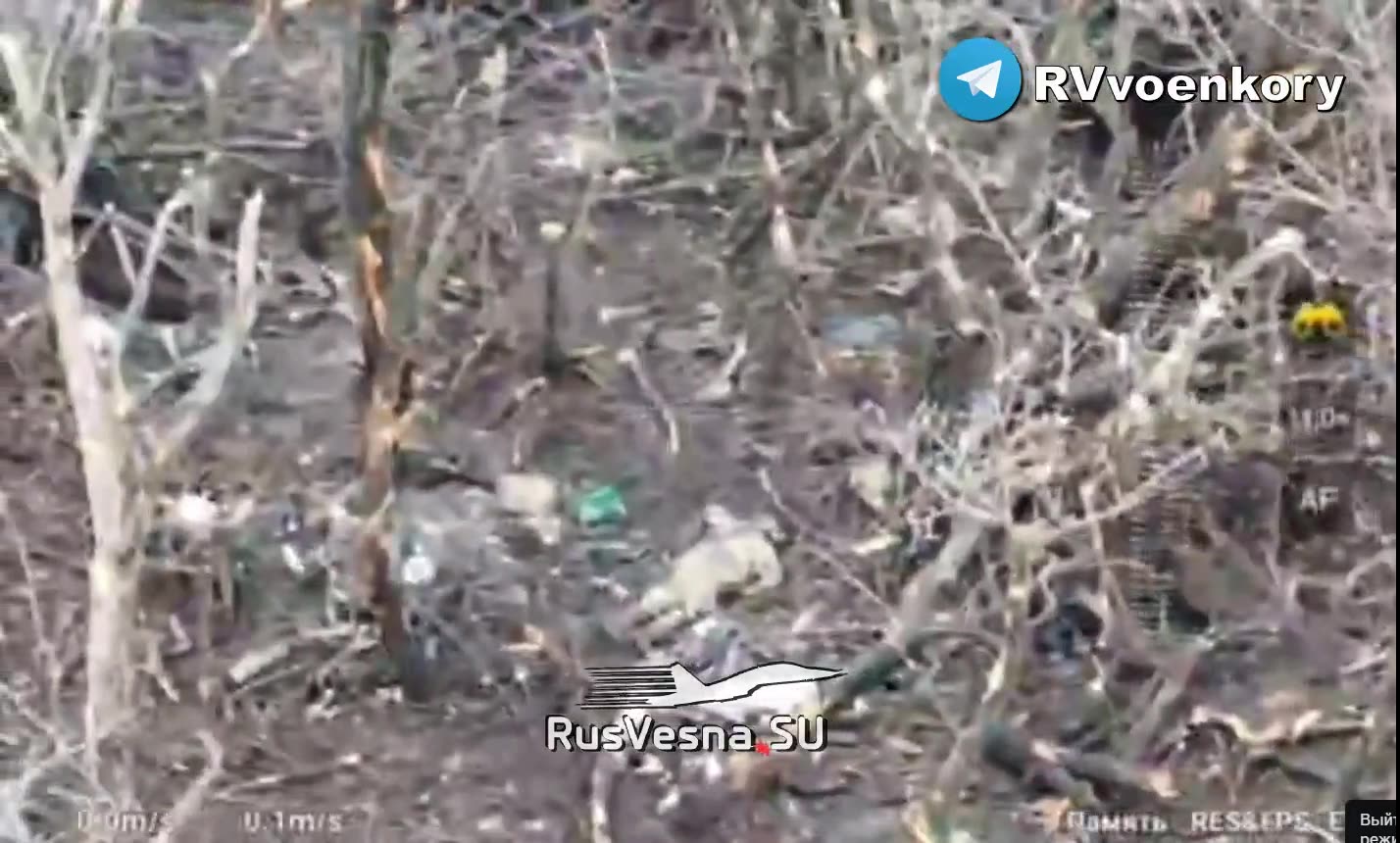 Massacre at Bogdanovka, littered with corpses of Ukrainians soldiers on ...