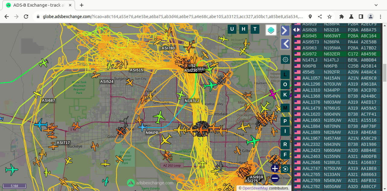 Bird Mafia ARiZONA - Jan 25th 2024 - dreary outside - 4:36pm - KPHX ...
