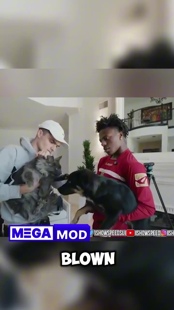 IShowSpeed introduces his new cat to his dog, and chaos breaks out! # ...