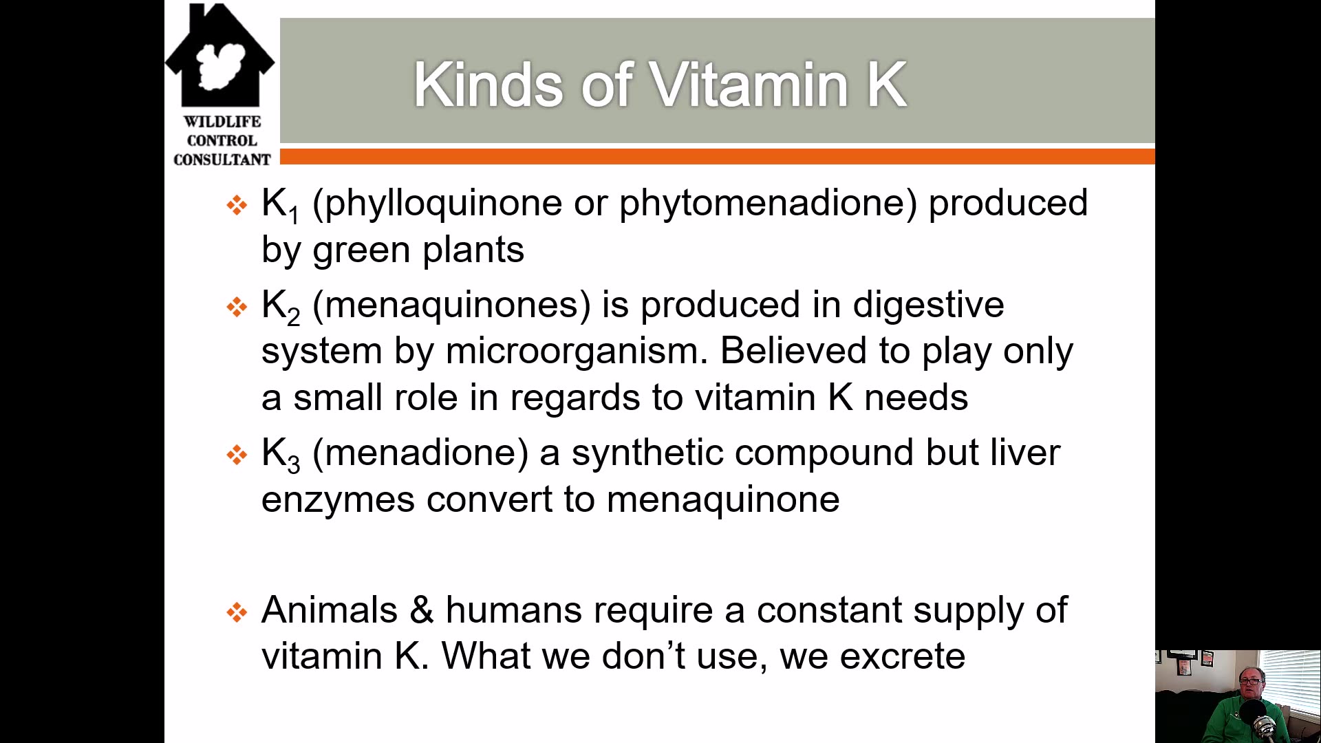 Vitamin K1 Rich Foods And Chlorophacinone Anticoagulant Rodenticides 9917