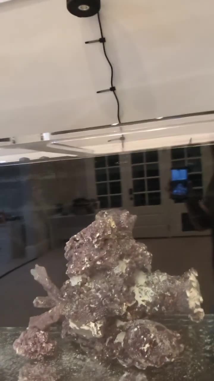 Behind the Scenes - Steven Pope Office Upgrades, Installed Aquarium ...