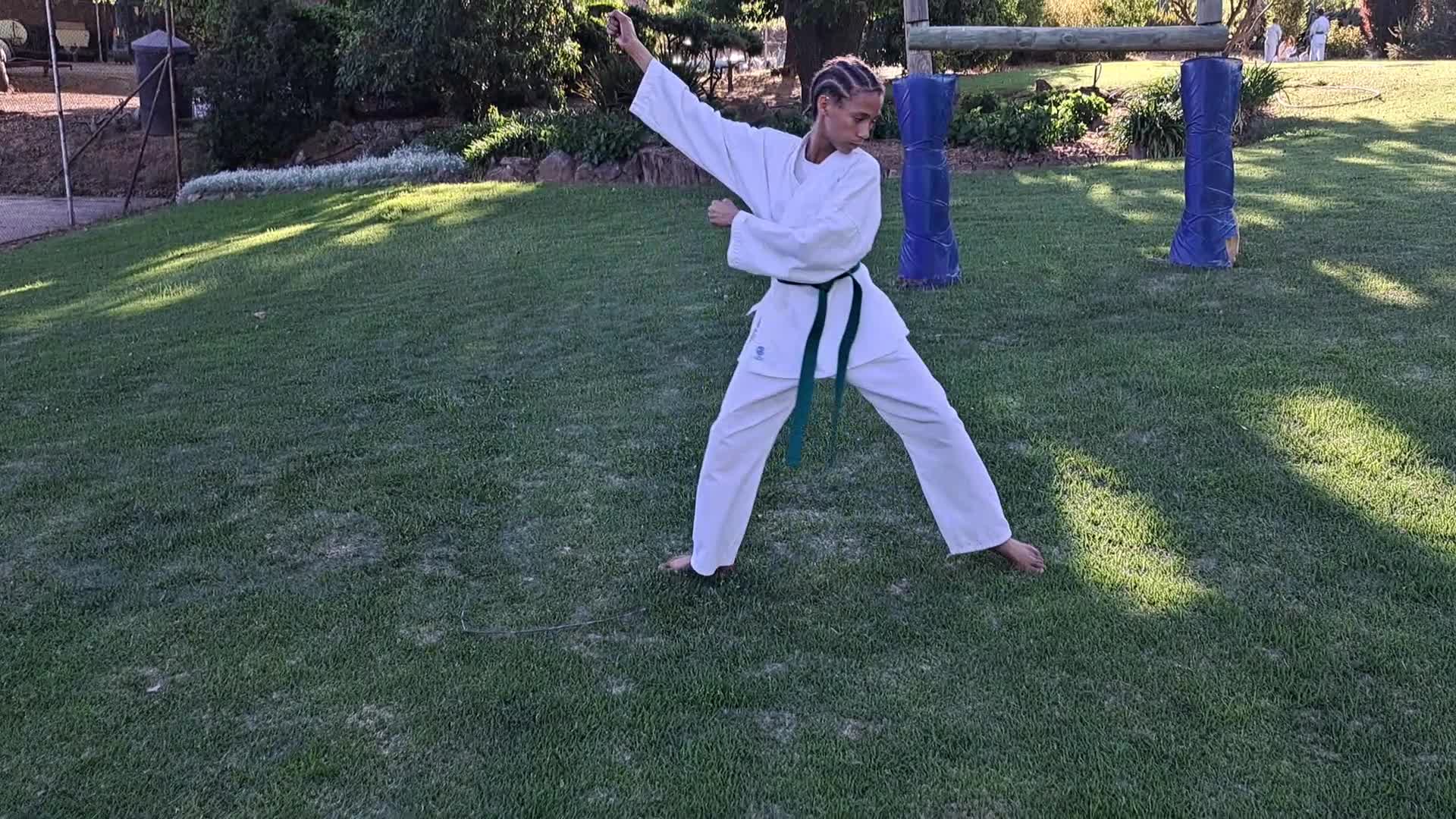 A30 - Shanique Farmer - Green - Pinan Nidan