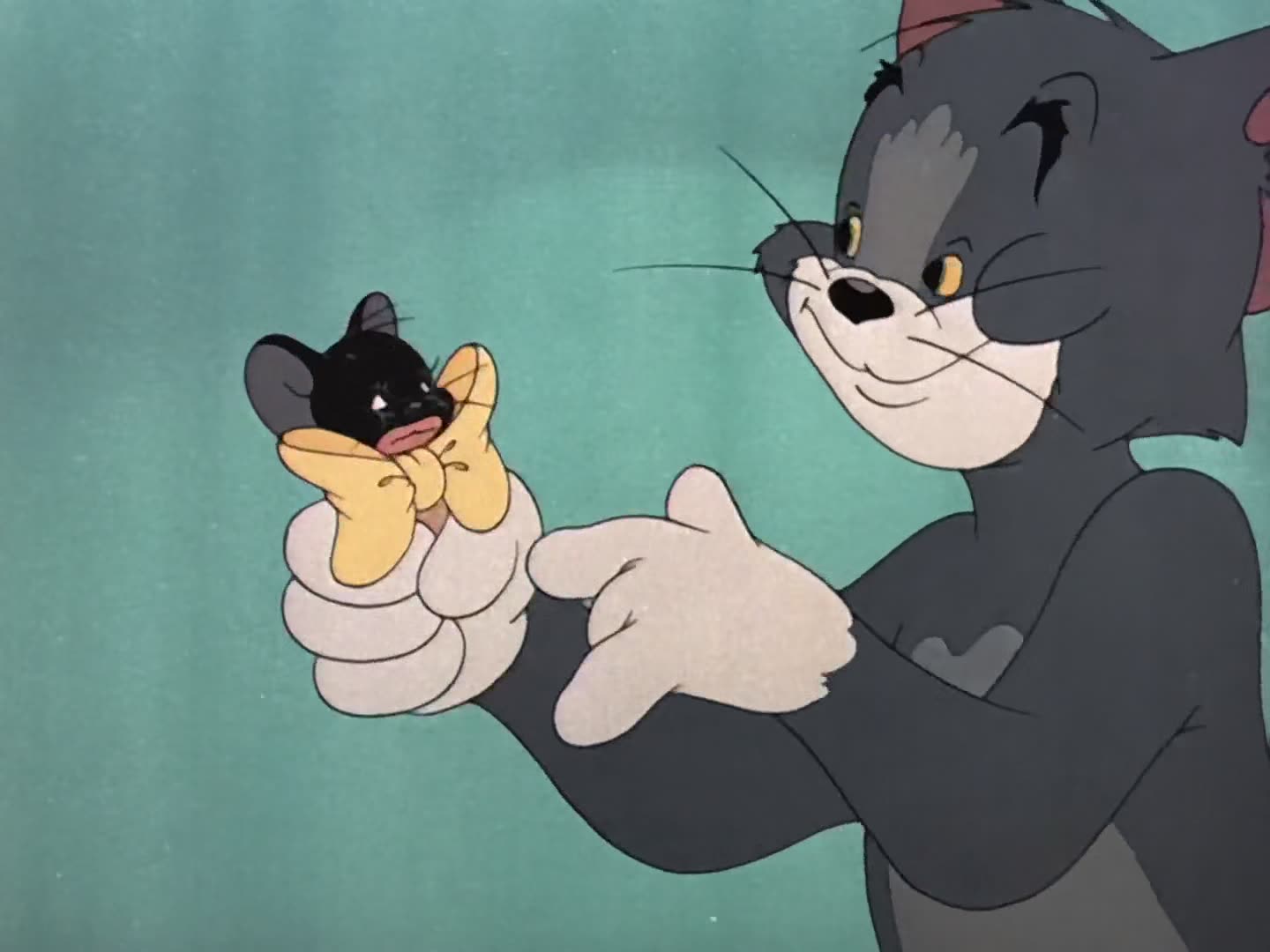 MGM Cartoons - 1951x01 - Casanova Cat