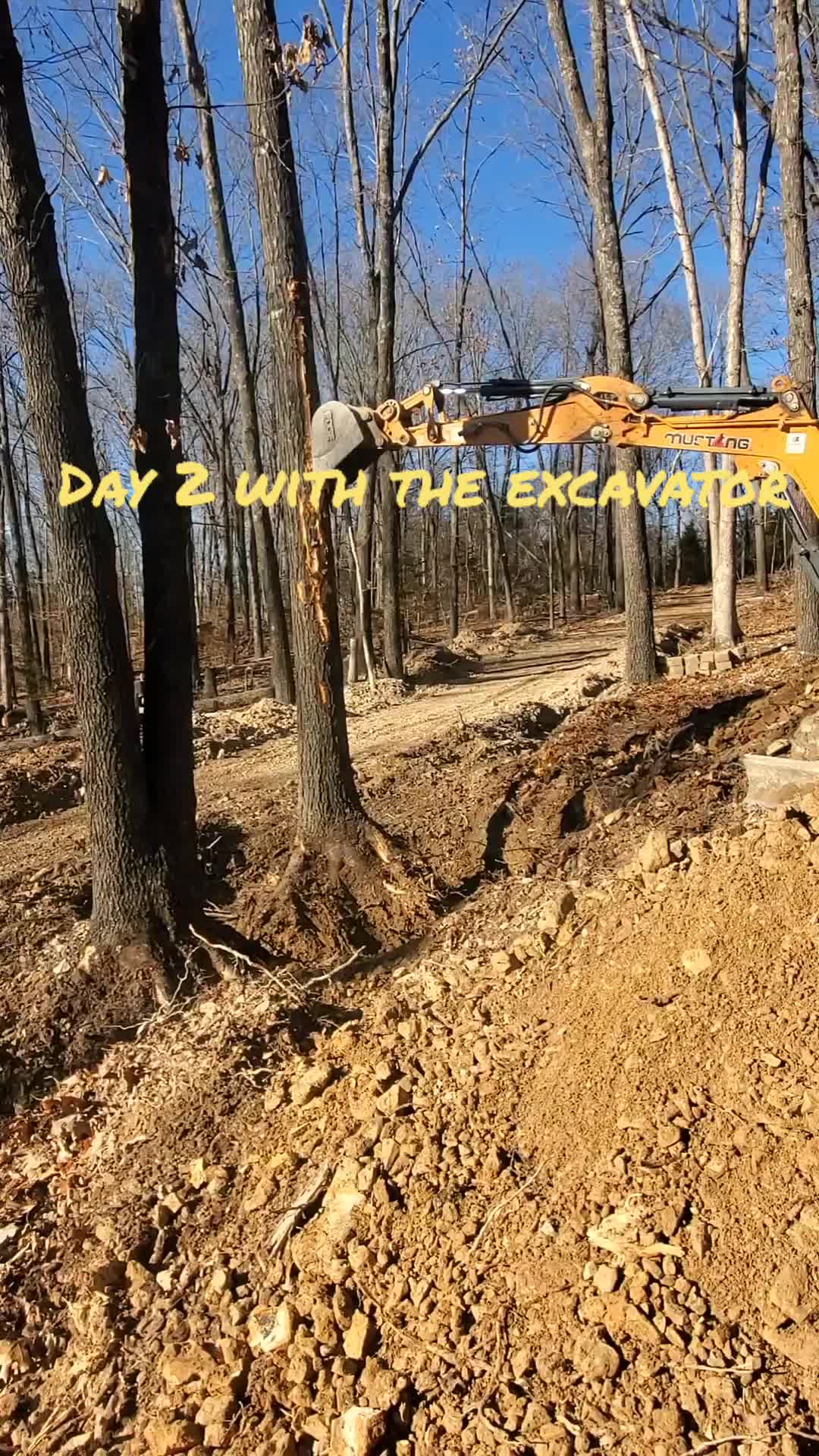 Day 2 - Pushing over trees with an excavator