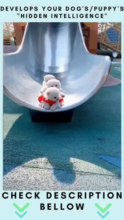 cute puppy | cute puppies sliding | cute puppies playing