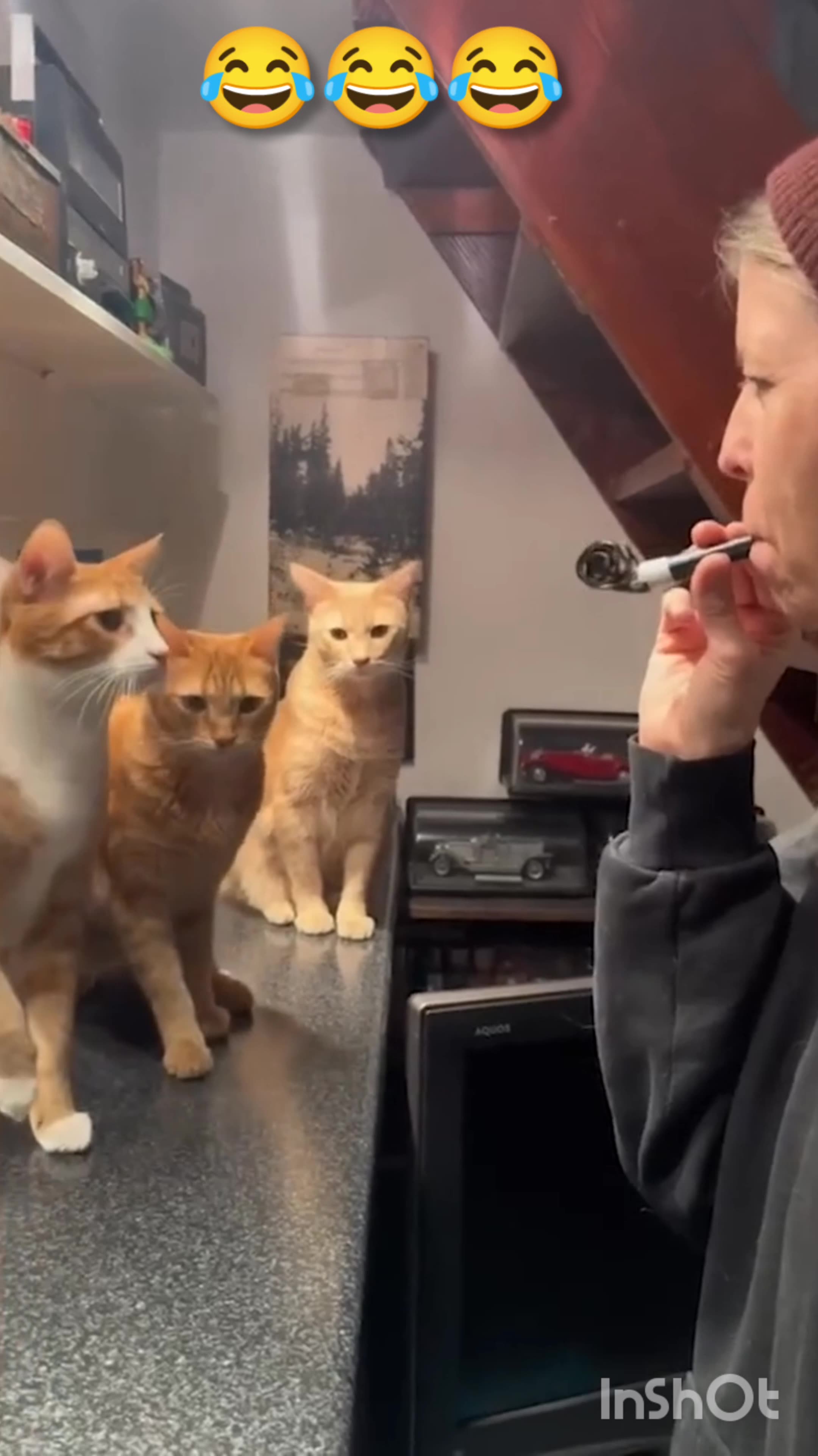 Funny cat memes 🤣🤣 #cat #cats #viral #trending #kids #rumble #shorts