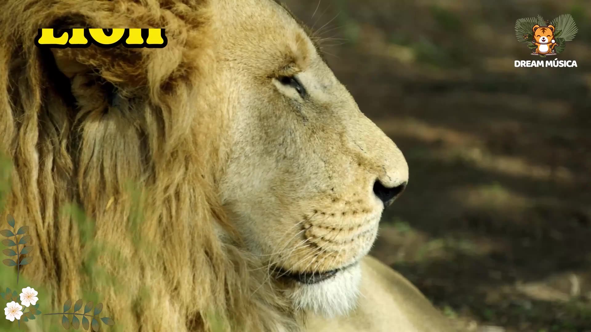 Animal sounds around us: Hyena, Elephant, Giraffe, Sheep, Hippo, Lion ...