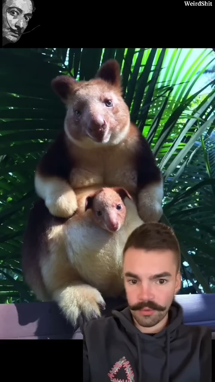 RAREST THINGS IN THE WORLD