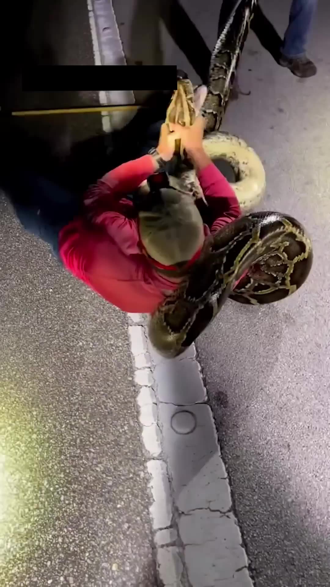 WOW!!! What courage? Python hunters wrestle 19-foot-long record ...